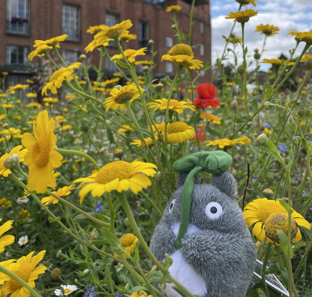 My Neighbour Totoro – The RSC shop