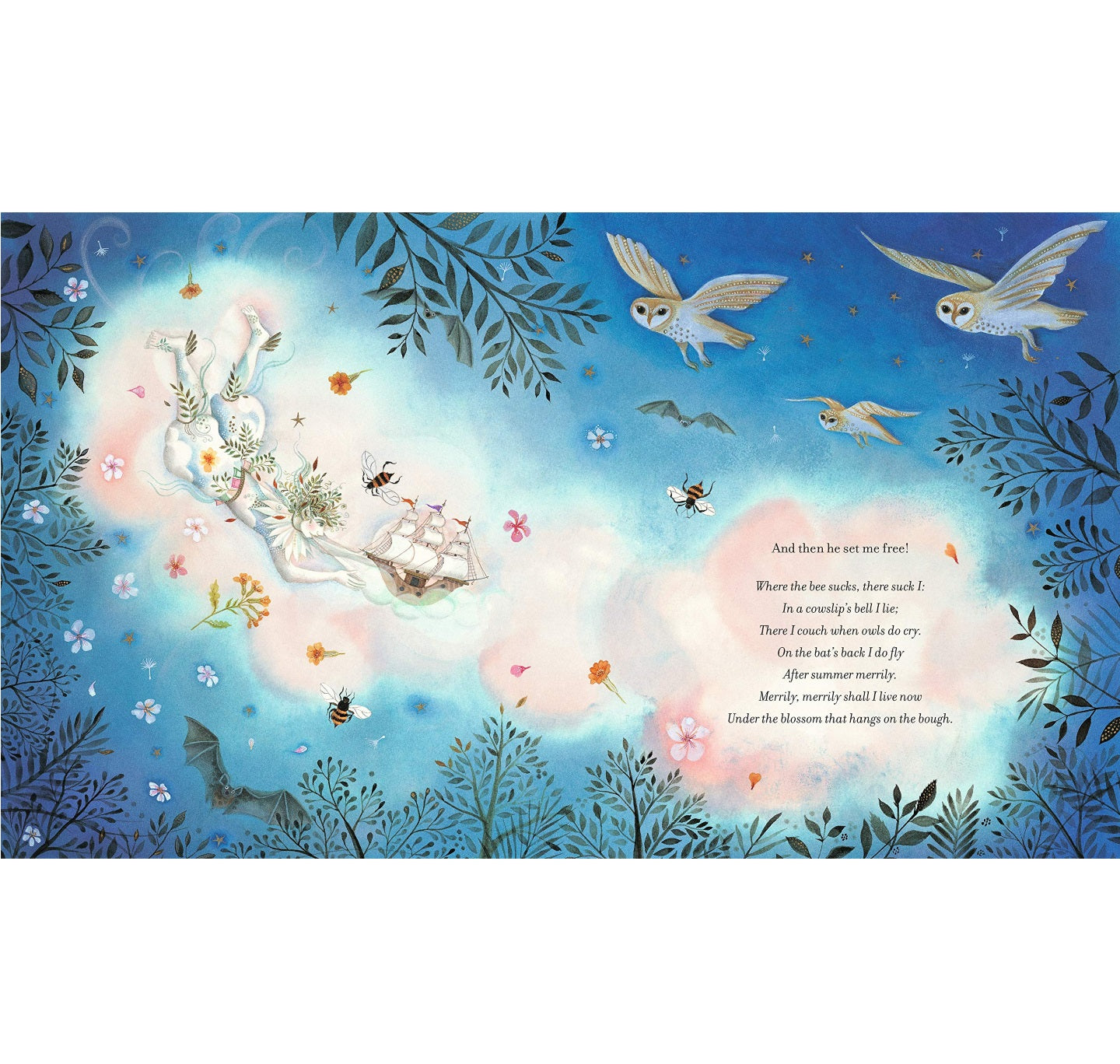Tempest PB – The RSC shop